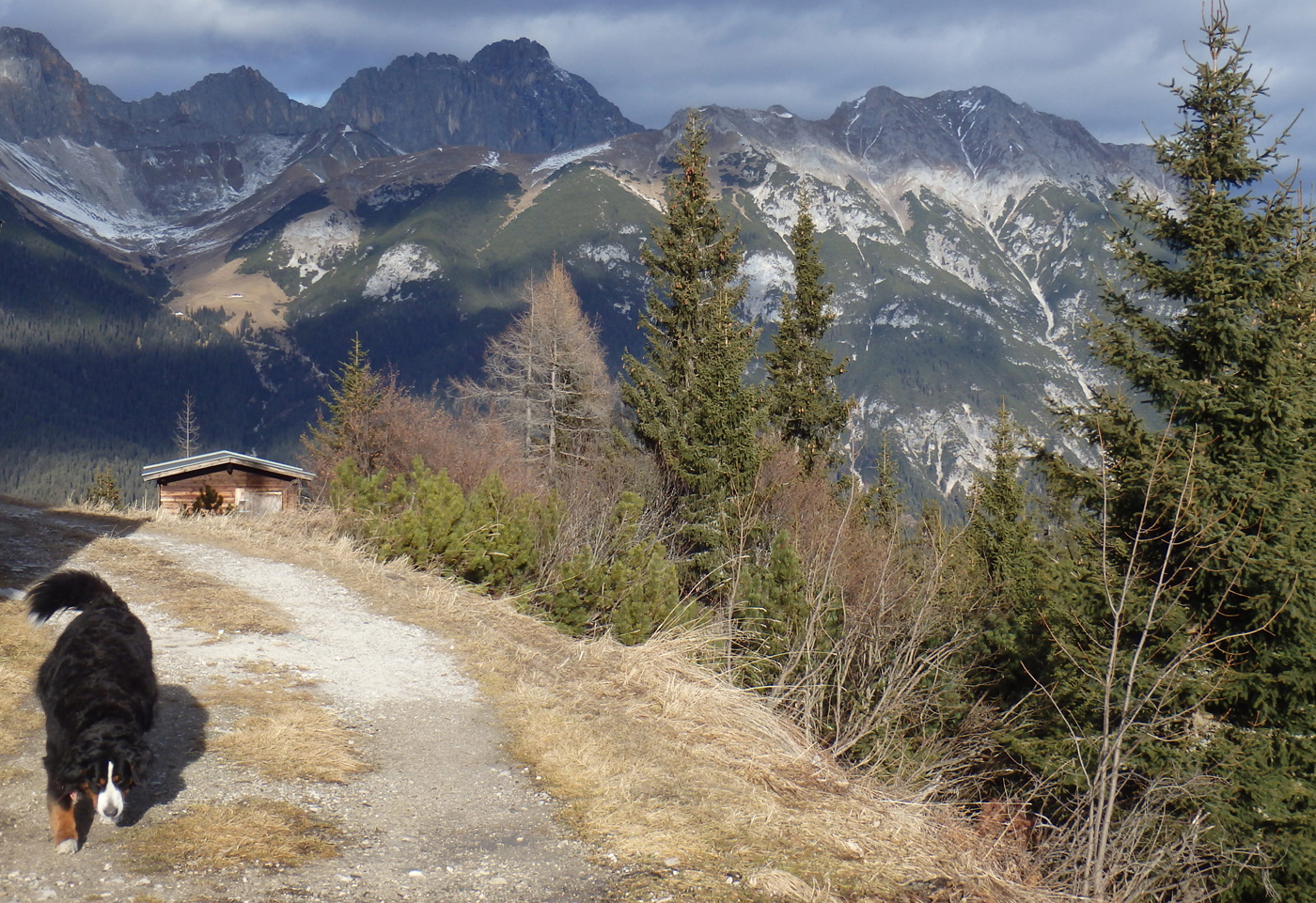 Austrian Alpine Club (UK) Ltd